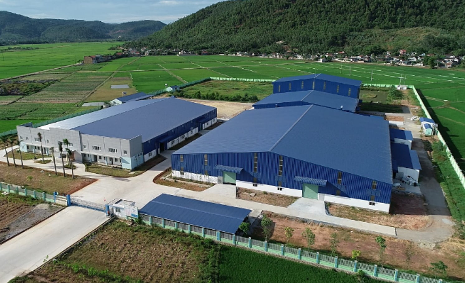 Overview - Dragon Quartz