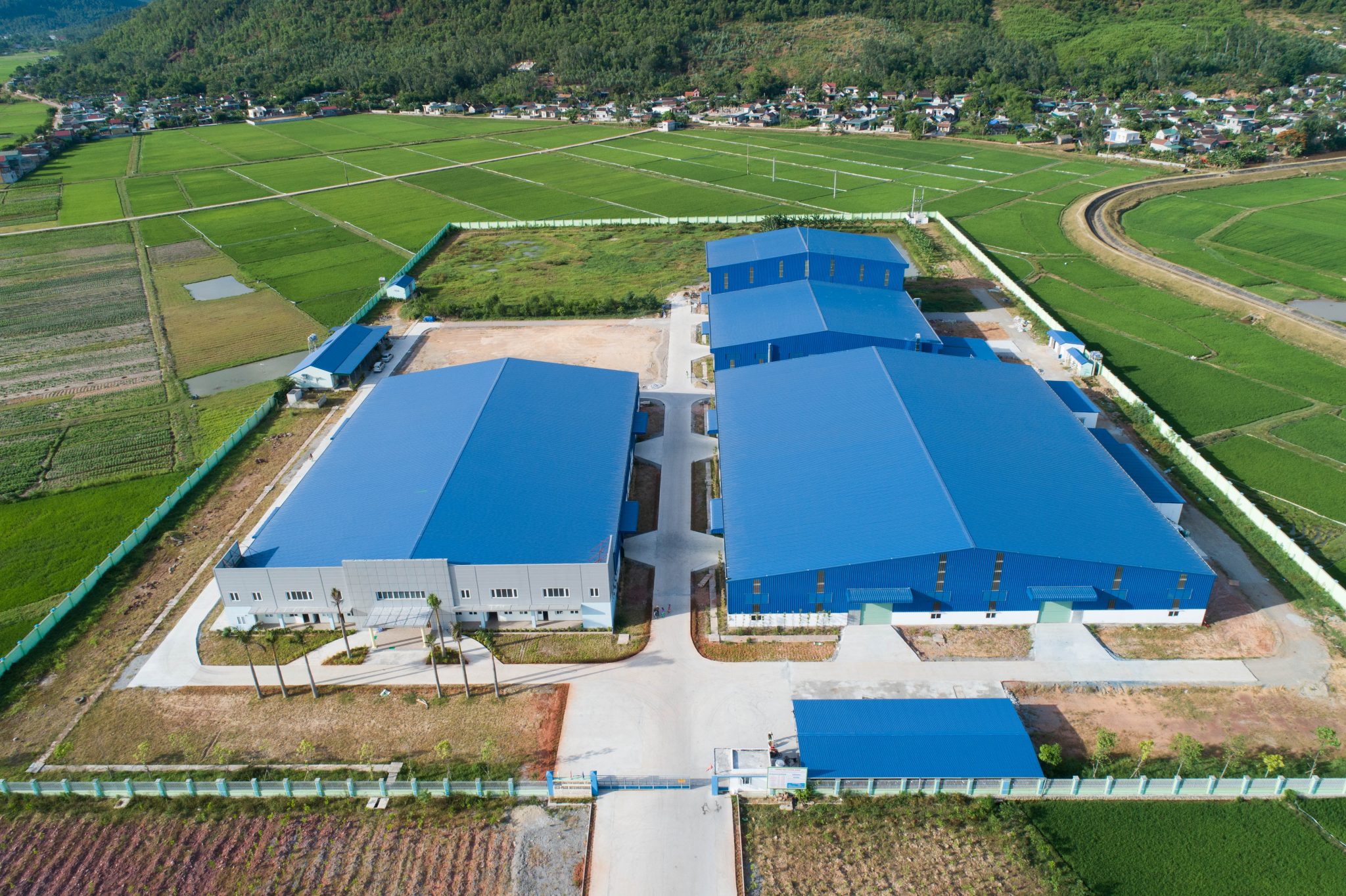 Home Page - Dragon Quartz